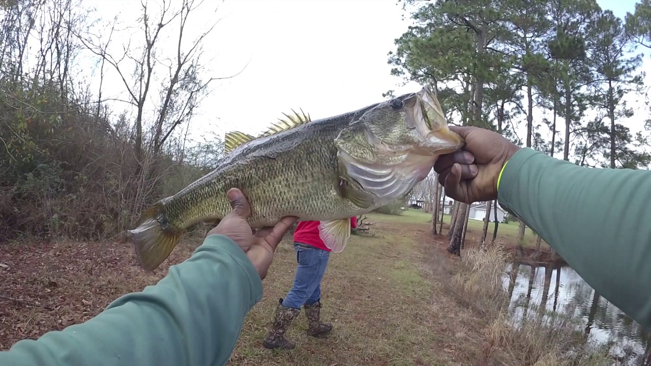 A Hometown Hawg!! AKA BIG BASS - YouTube