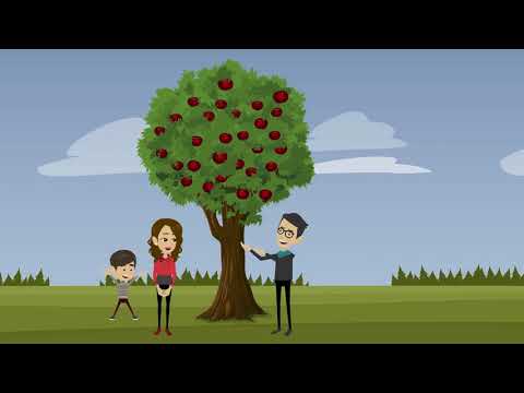 Genel Tanıtım  -  tarlamda.com