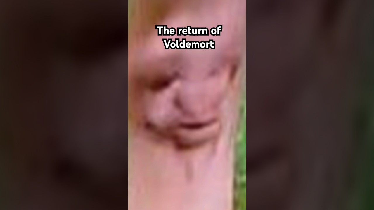 The return of Voldemort - YouTube