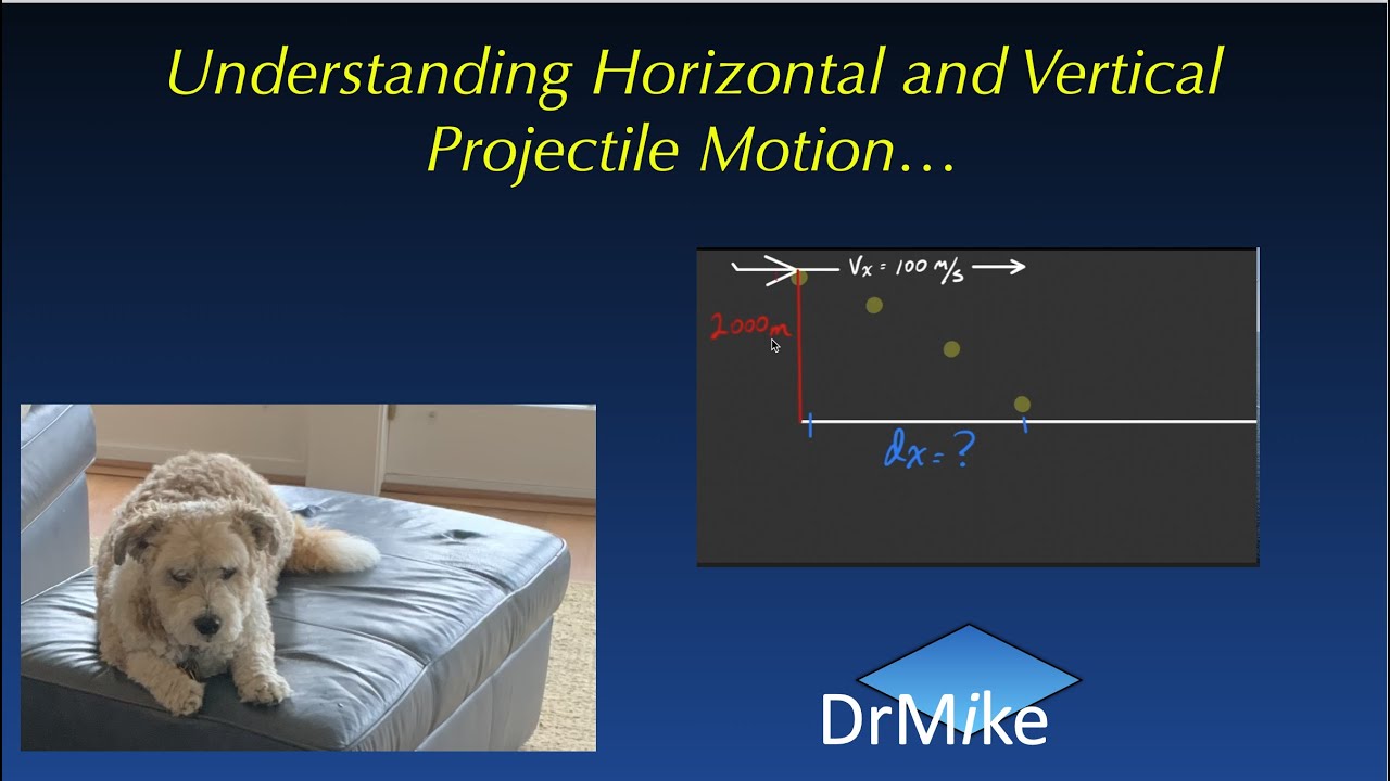 Understanding Horizontal and Vertical Projectile Motion - YouTube