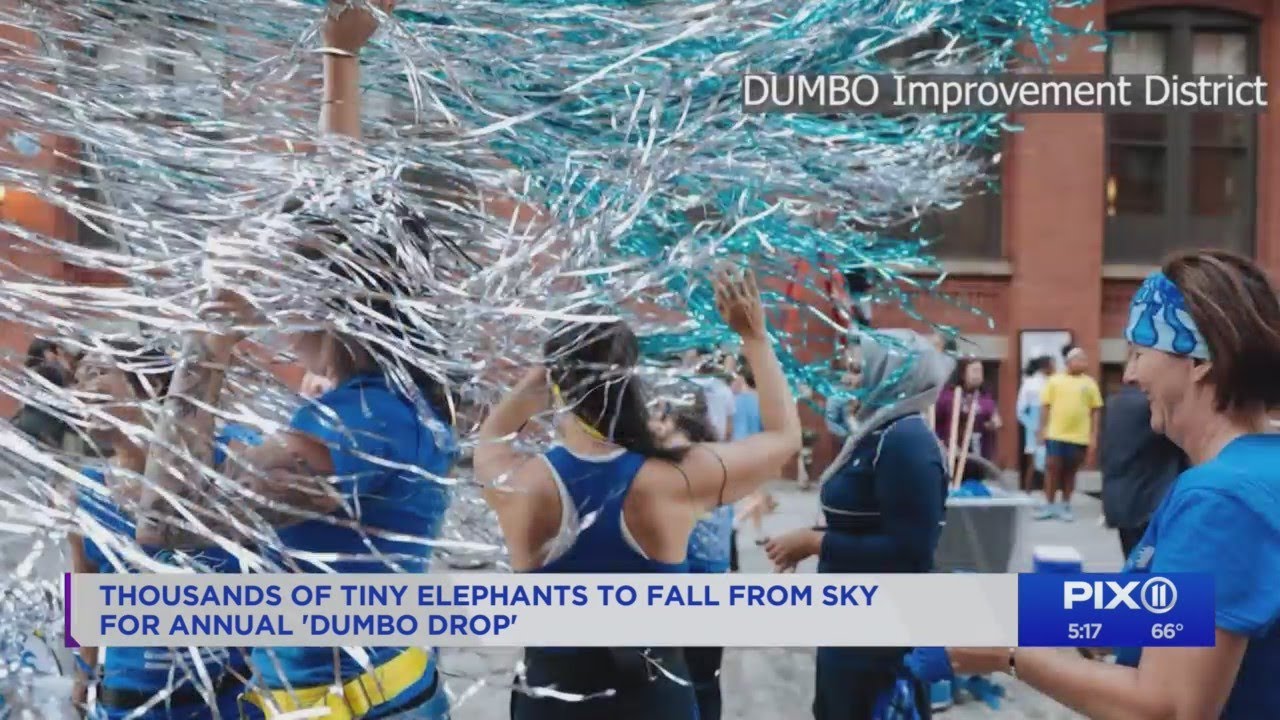 Thousands of elephants to fall in annual 'Dumbo Drop" - YouTube
