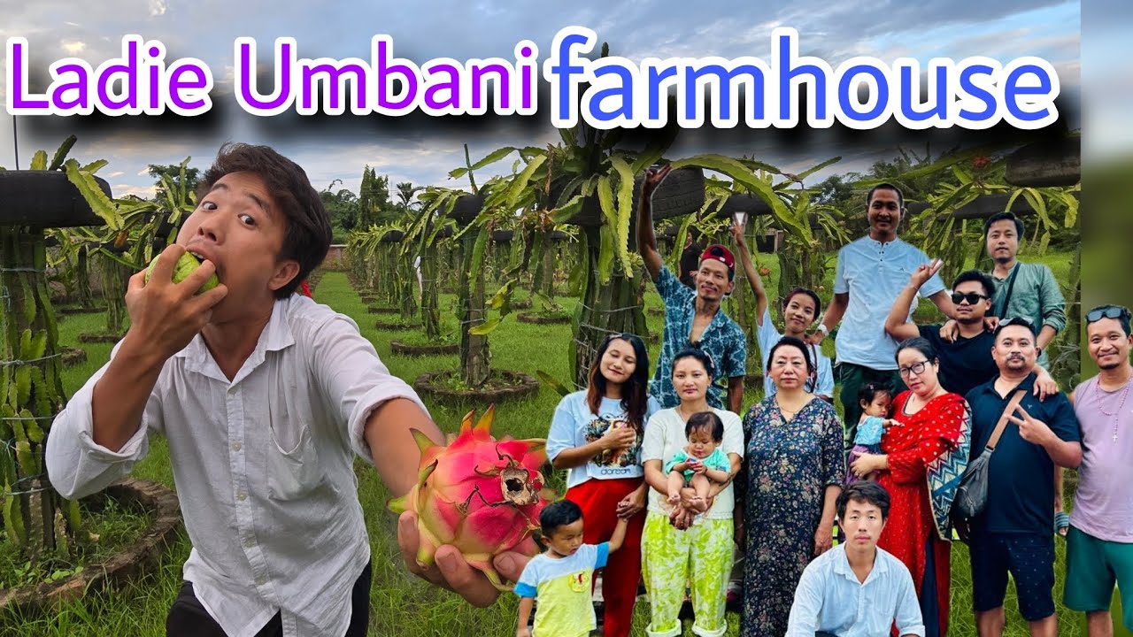 Ladie Umbani farmhouse in Nagaland || lots of fish pond @Sebnagafamily7 ...