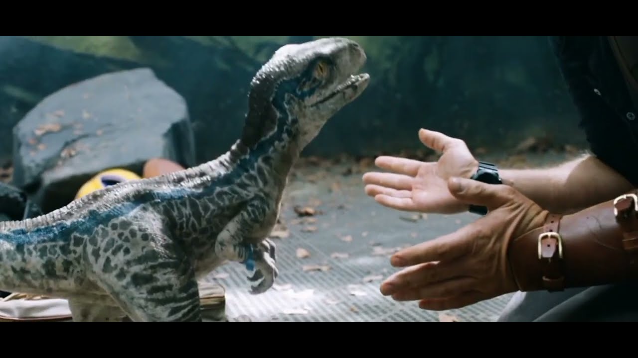 ||Blue and Owen edit || {JW} - YouTube