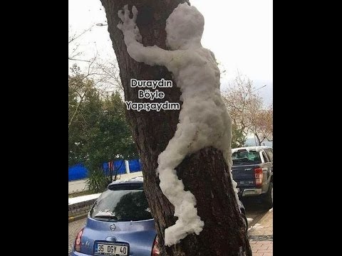 Kardan Adamın Türklerle İmtihanı