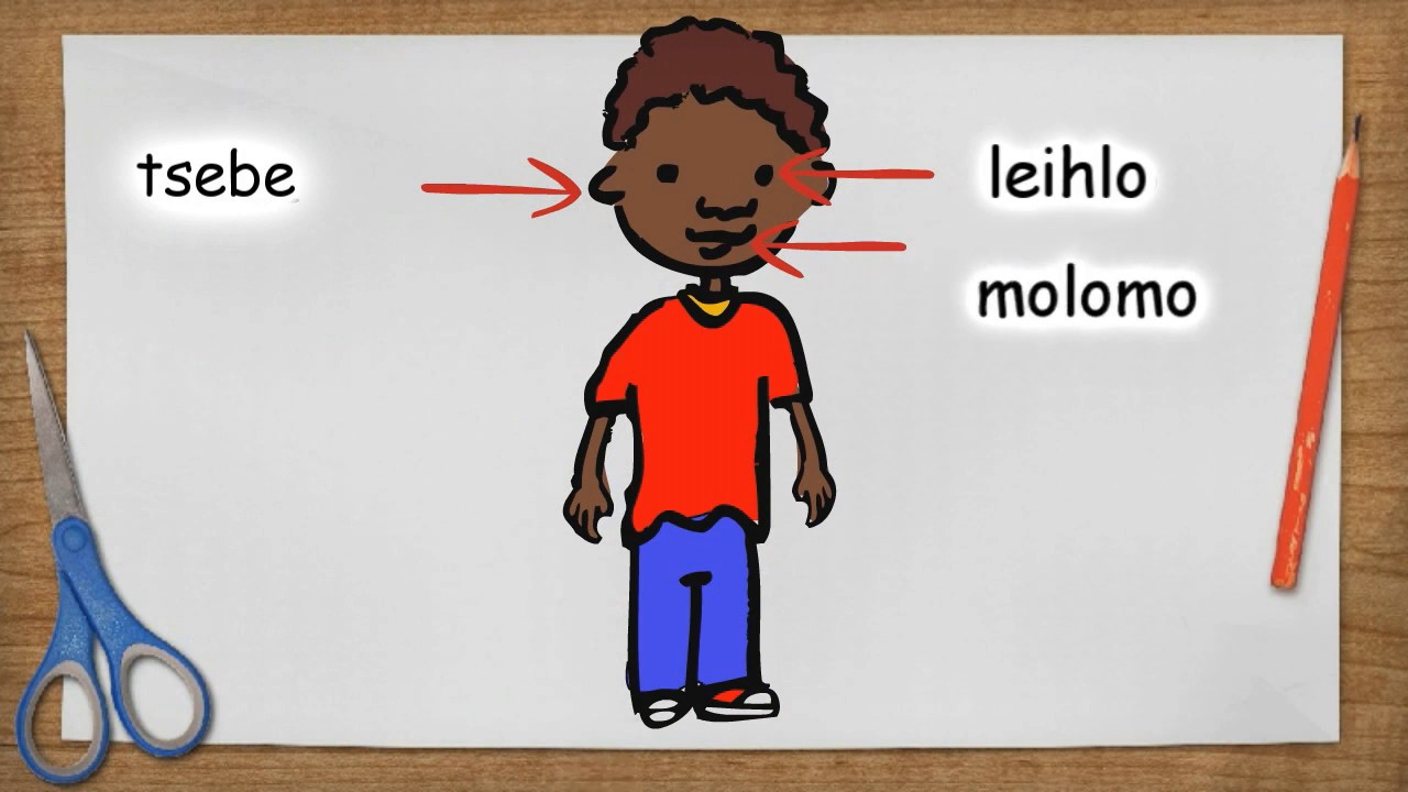 Sesotho The body / Die liggaam Immersion 5.3 - YouTube