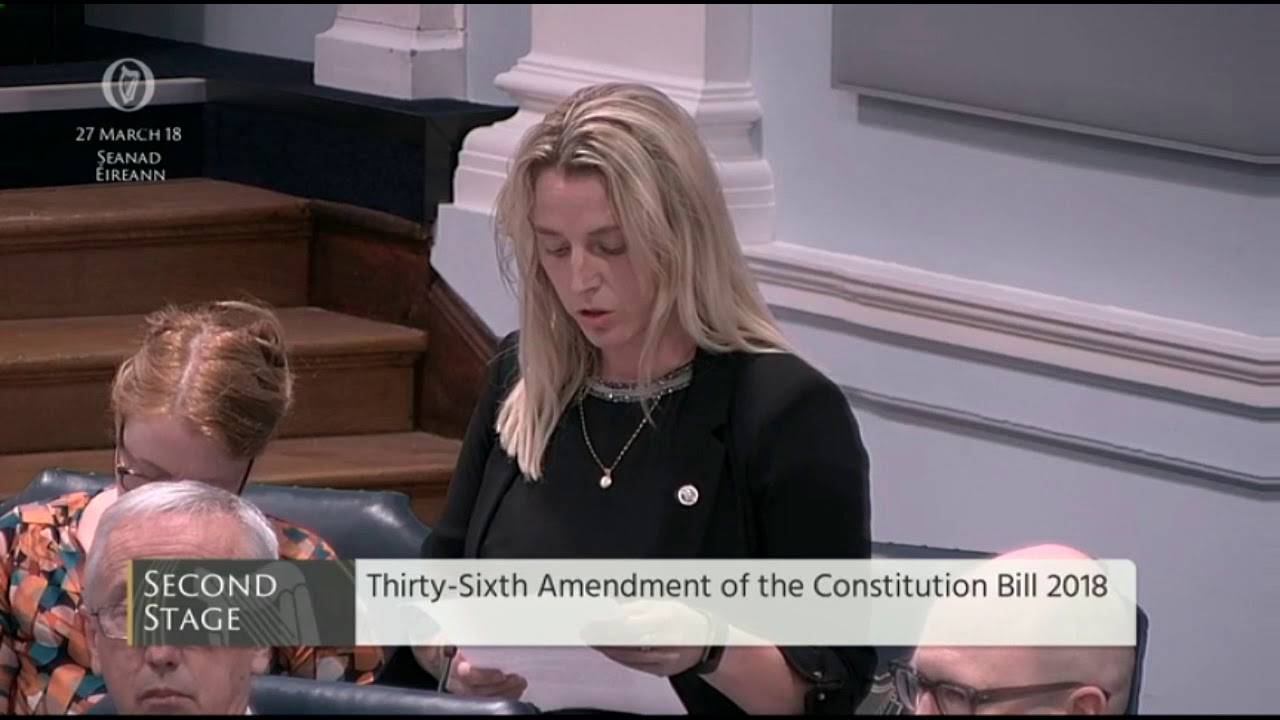 Lynn Ruane Speaks on 8th Amendment Referendum - YouTube