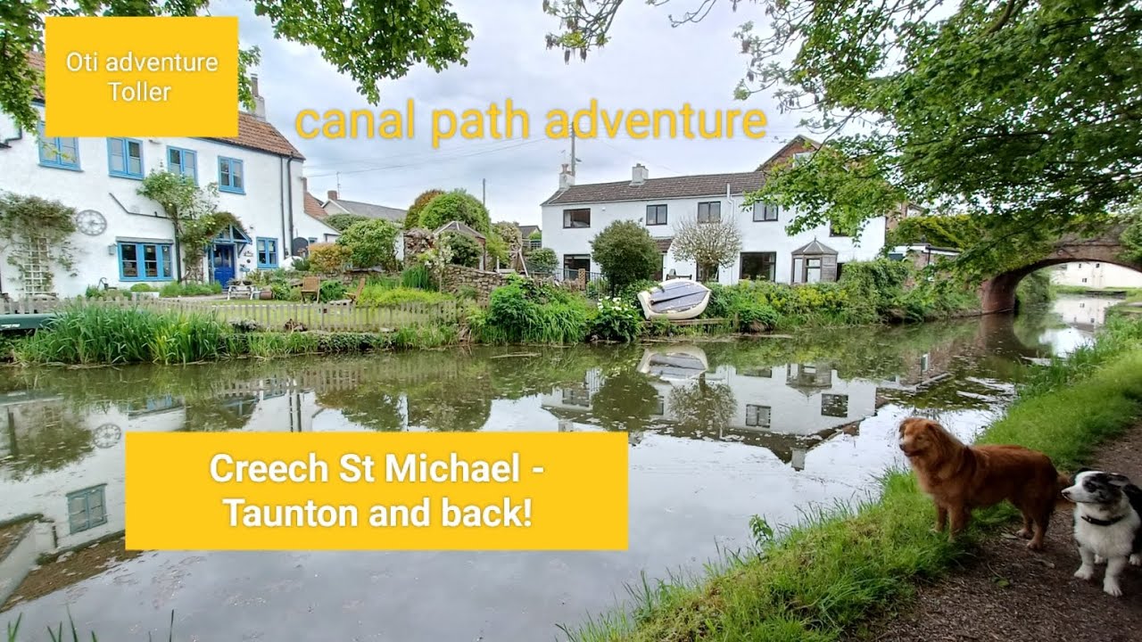 Wonderful canal walk from Creech st Michael to Taunton and back again ...