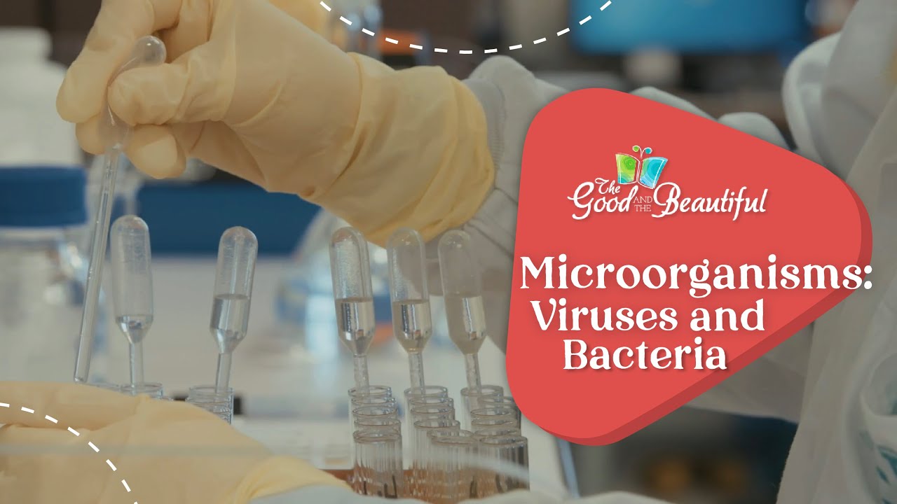 Microorganisms Good Bacteria