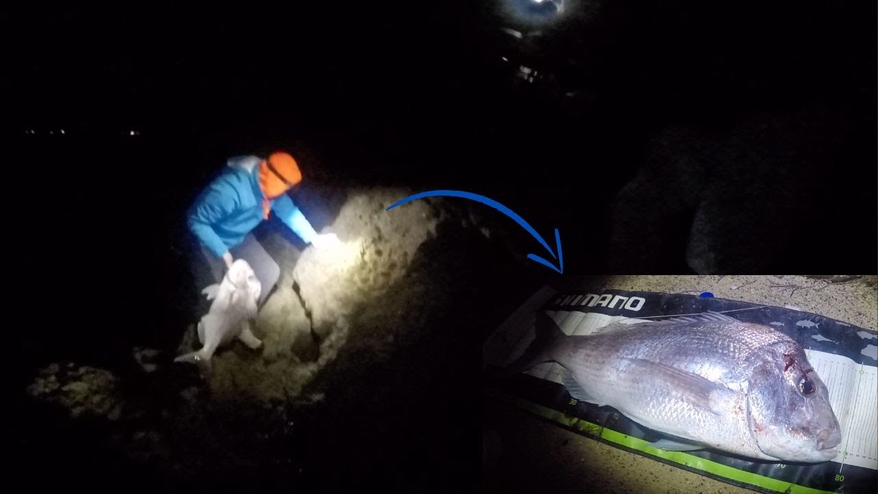BIG Landbased Pink Snapper off a Rockwall (Perth, WA) - YouTube