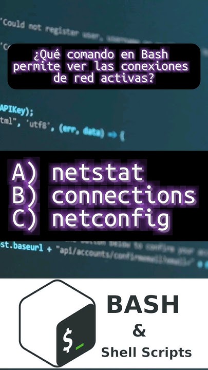 BASH quizz! Nivel fácil 👐💚 #bash #Linux #terminal #aprendeprogramación #programacion #sistemas ...