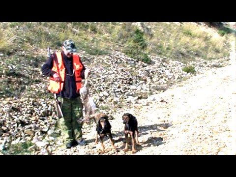 ΚΥΝΗΓΙ ΛΑΓΟΥ ...για μερακλήδες! - YouTube