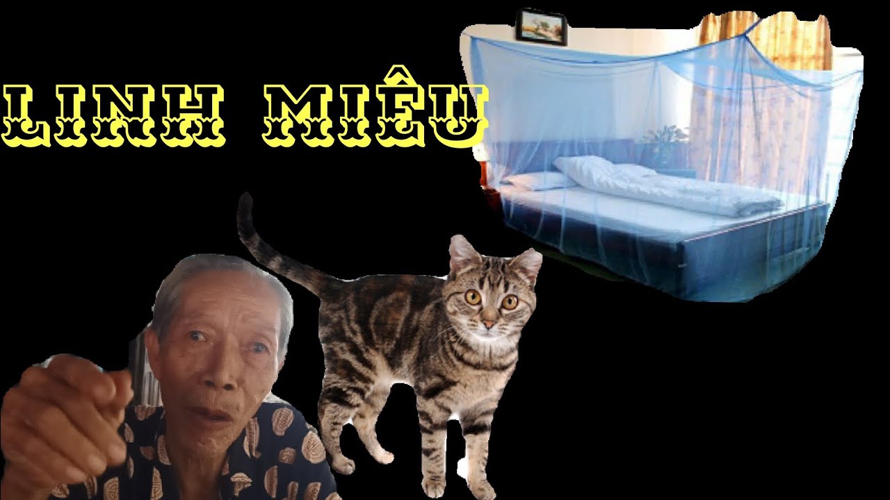 Chuyện CON LINH MIÊU LÀM NGƯỜI C..HẾT SỐNG LẠI... - YouTube