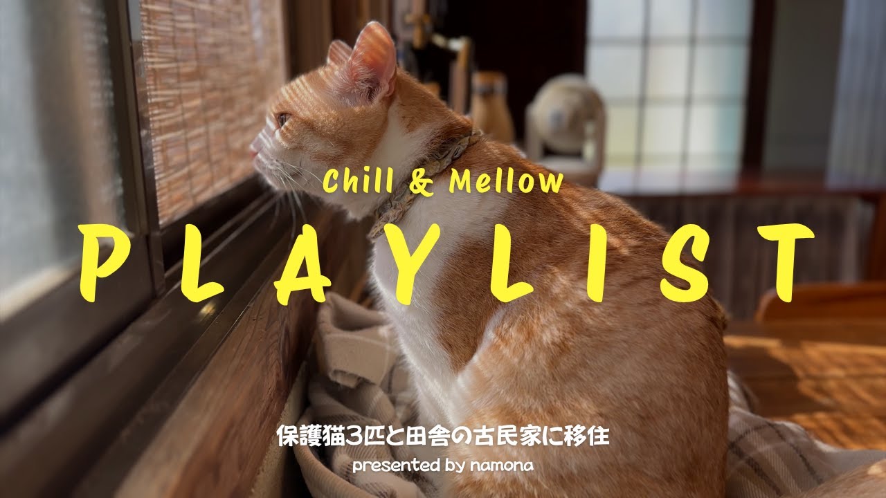 【🎧 playlist】Chill & Mellow Café Vibes ☕ | 가을, 분위기 200% 완성되는 팝송 플레이리스트 ...