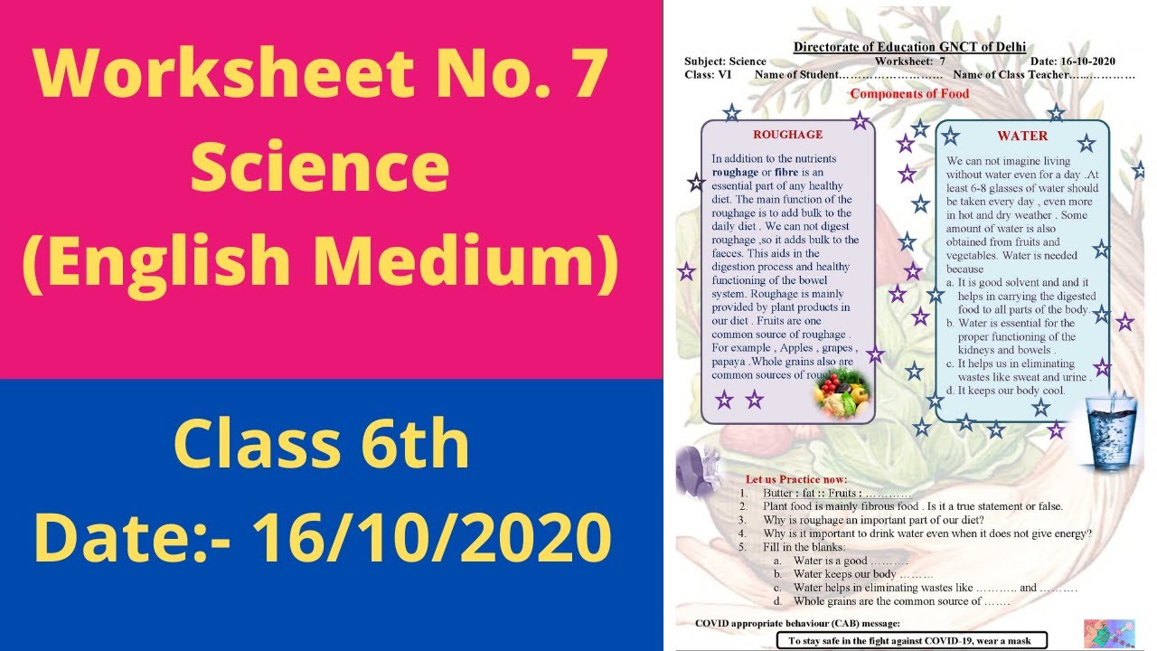 Worksheet 7 Science class 6(16/10/2020)English Medium/worksheet 7 ...