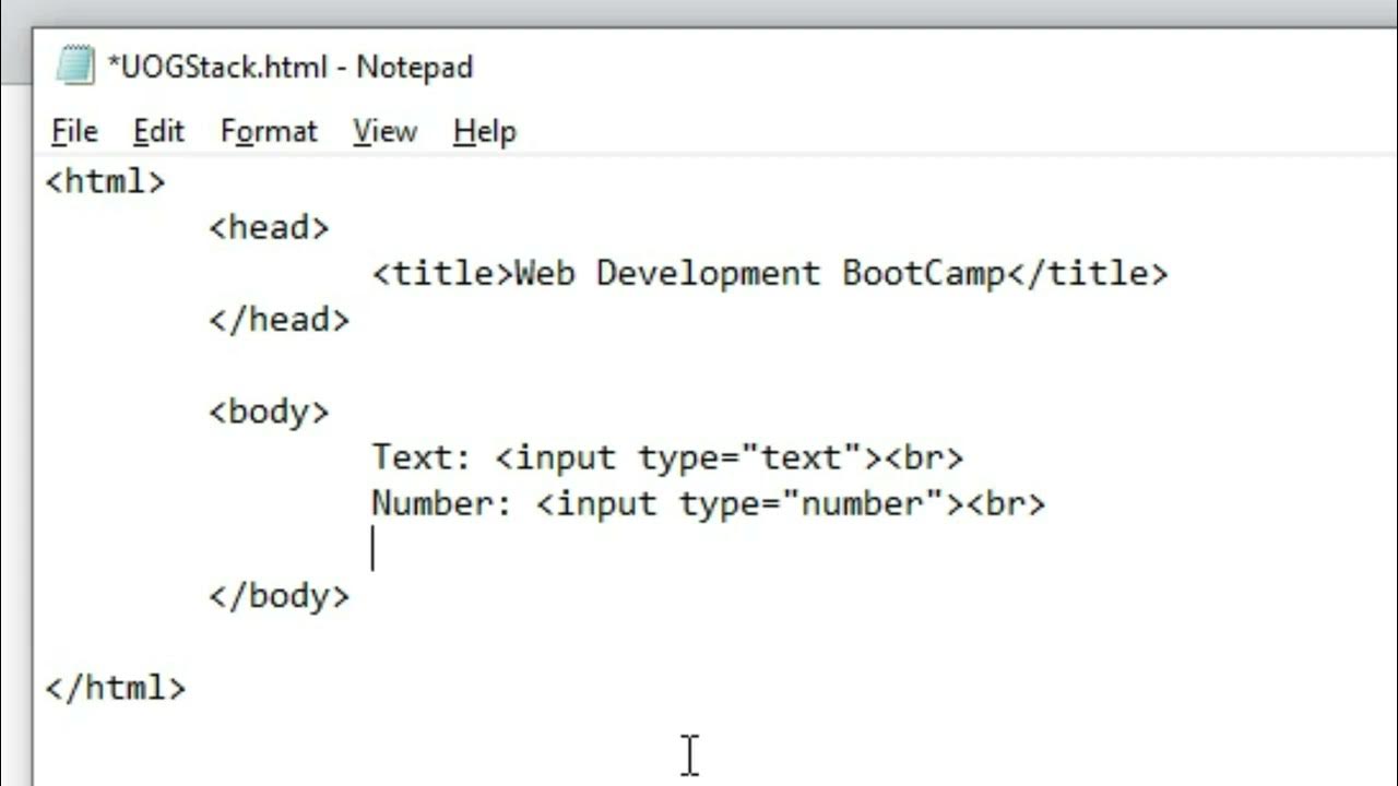 Input Types in HTML: Let's explore everything #html - YouTube