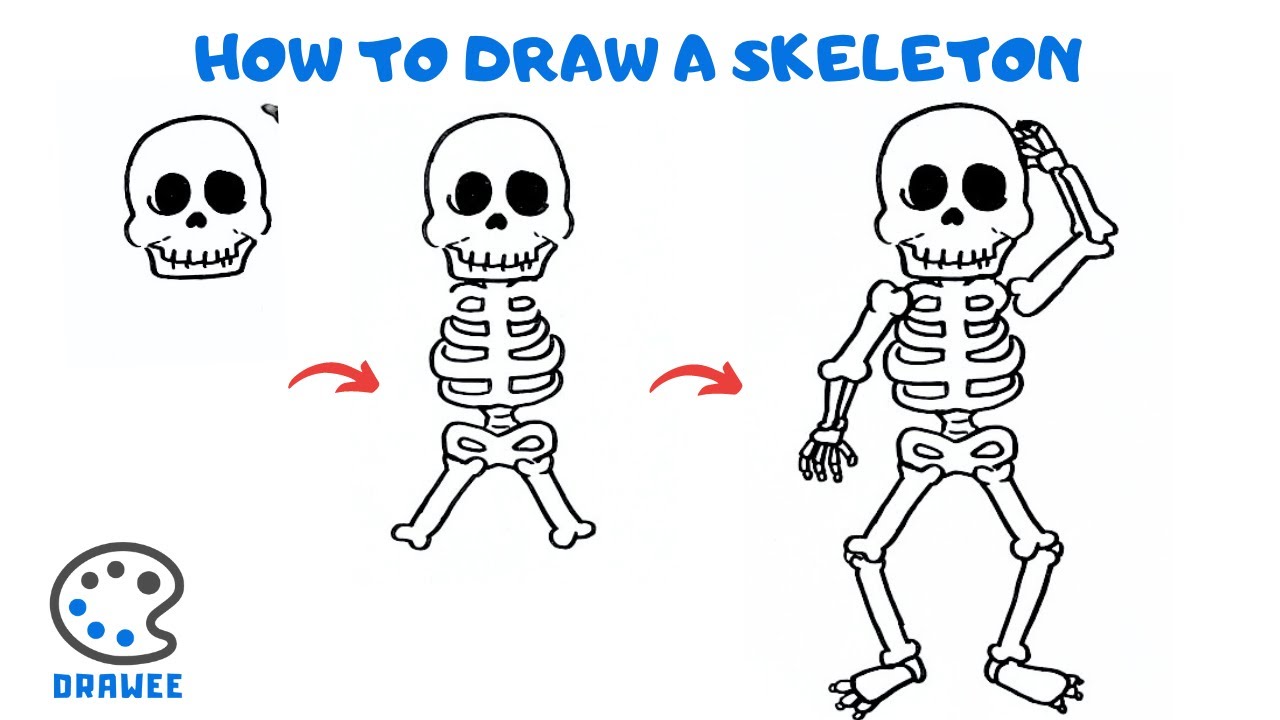 How to draw a Skeleton - YouTube
