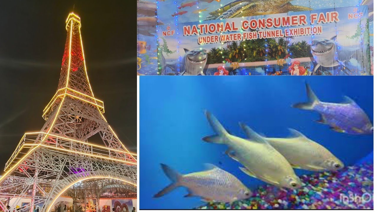 AQUA Tunnel Show HA Ground Pimpri | Underwater Aquarium in Pimpri ...
