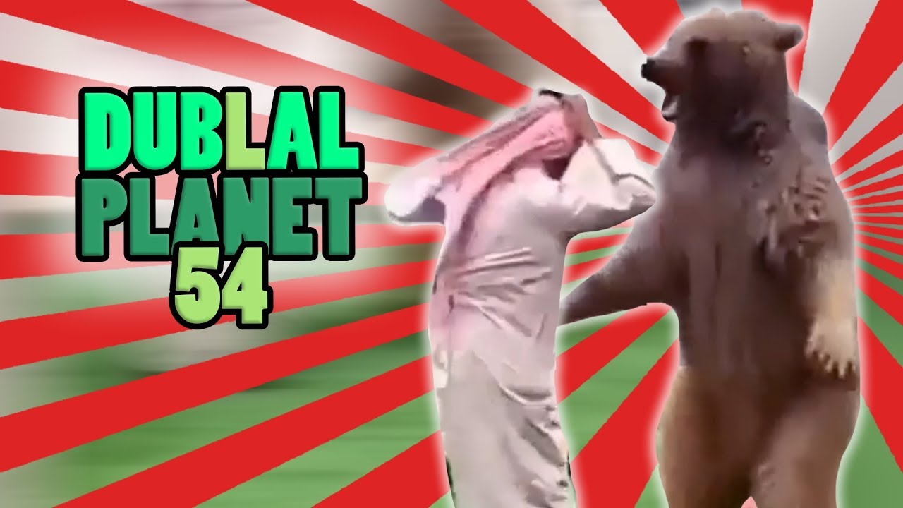 BALUKA O URSO QUE SÓ QUERIA BRINCAR - YouTube