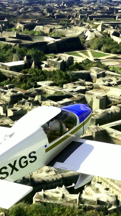 92-10/FLIGHT SIMULATOR. PARIS. FRANCE. #paris #france - YouTube