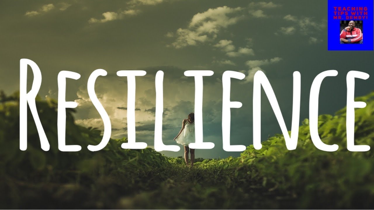 Books That Build Resiliency in Kids| The Hugging Tree by Jill Neimark ...