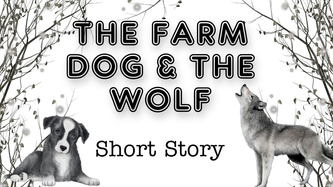 The Farm Dog And The Wolf || Inspiring Short Story. - YouTube