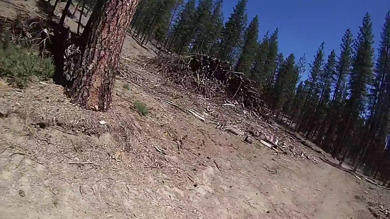 Sun Pass State Forest, July 3rd - Dualsport - YouTube