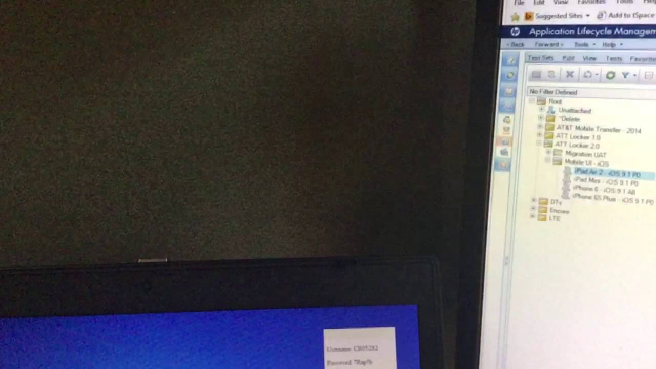 Bug Regression Youtube