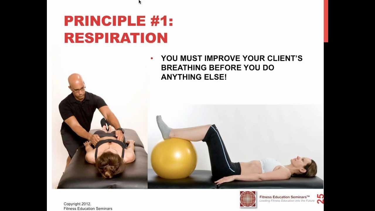 Joint Centration & Hip Dysfunction - with Dr Evan Osar - YouTube