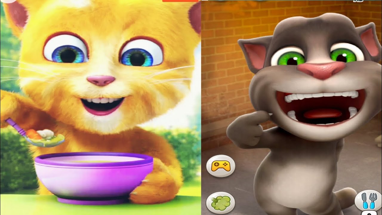 Talking Ginger Funny Ginger đđĽđđđĽđđđđśď¸đđĽđ Lovely Ginger Youtube