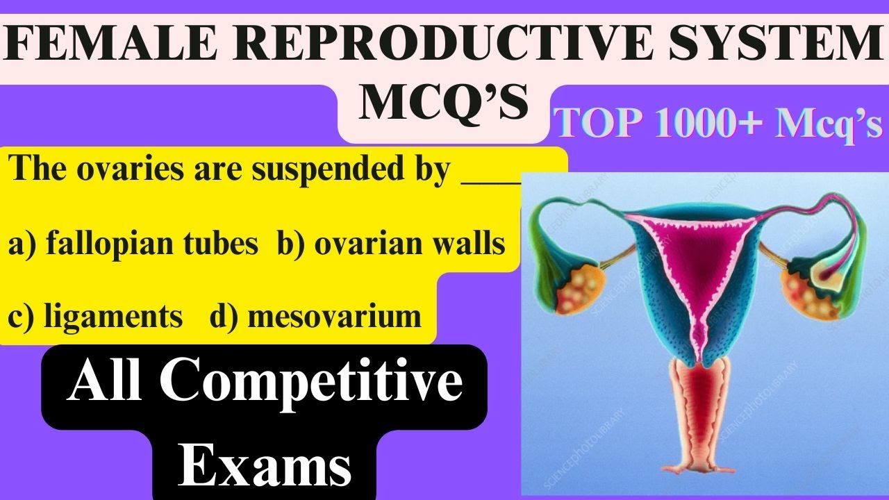 FEMALE REPRODUCTIVE SYSTEM MCQ’S#reproduction #female # ...