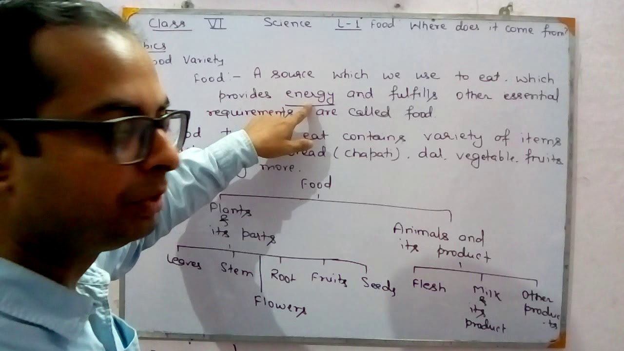 Class VI Science Lesson 1 Part 2 - YouTube