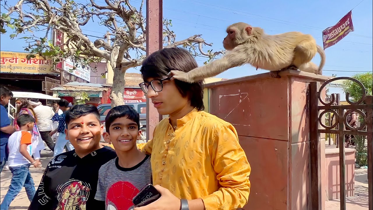 Monkey Chasma Legya 😲 Vrindavan Mein - YouTube
