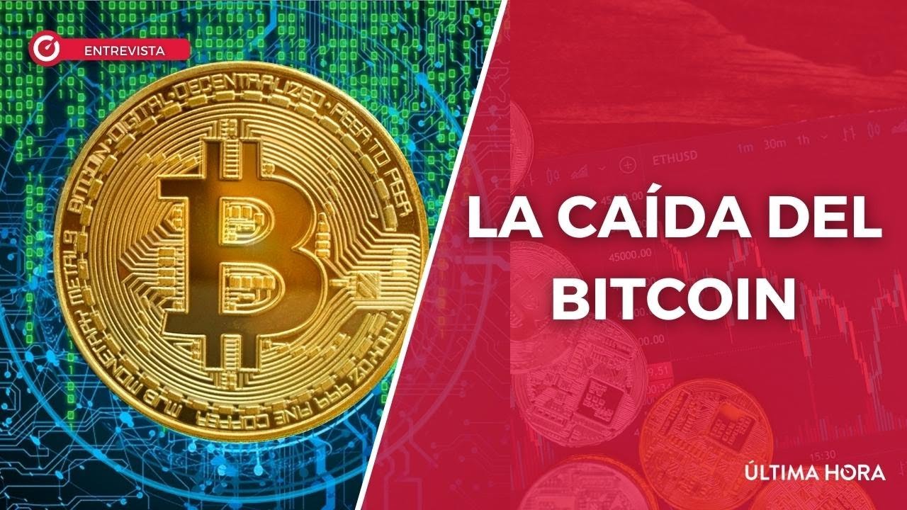 “Es importante entender que el mundo cripto es muy volátil y agresivo”: inversionista Gabriel ...