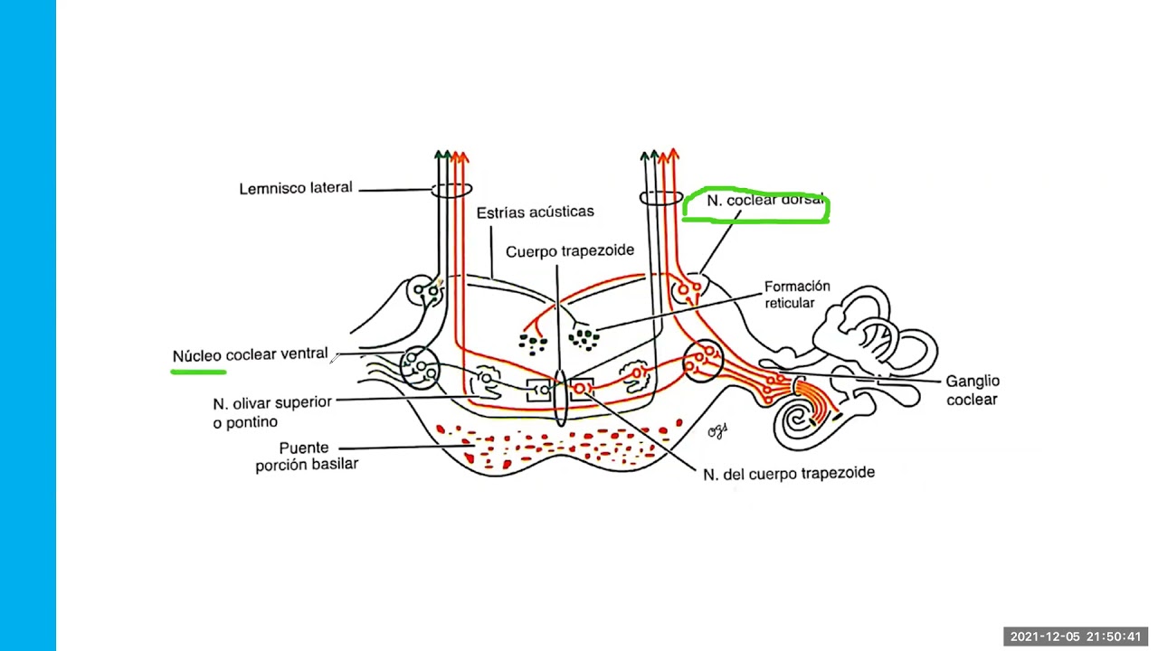PROTUBERANCIA ANULAR - YouTube