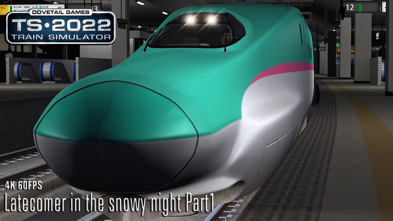 Latecomer in the snowy night Part1 - Tōhoku High Speed & Main Line - E5 ...
