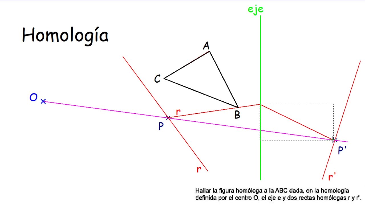 Homología: problemas. Halla la figura homóloga. Datos: centro de ...