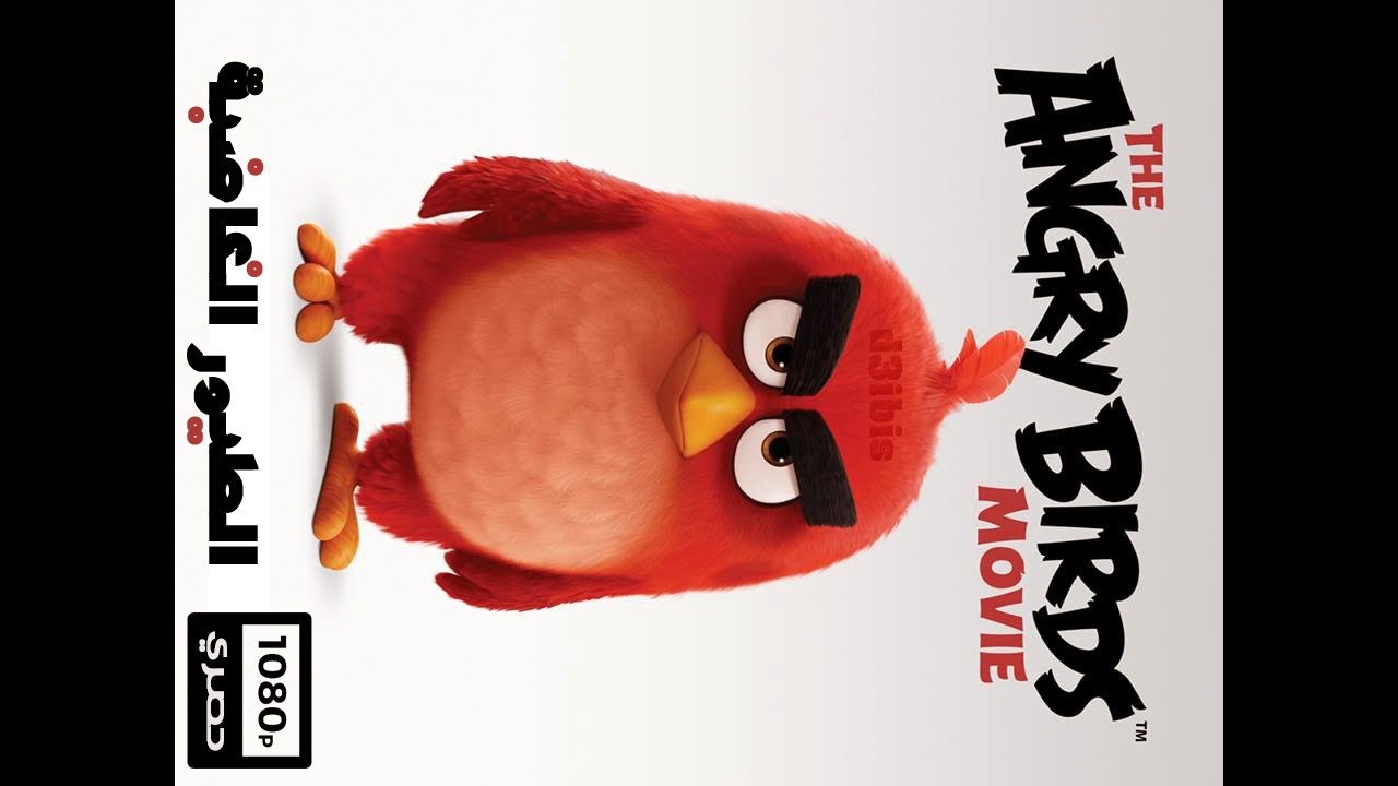 (مدبلج للعربية).Angry Birds - YouTube