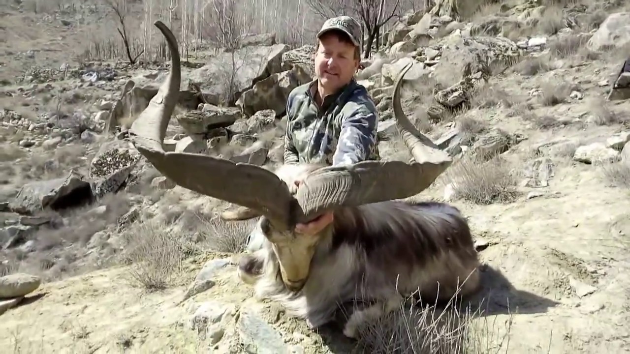 Pakistan IBEX Hunting Wildlife in Gilgit Baltistan Pakistan Markhor ...