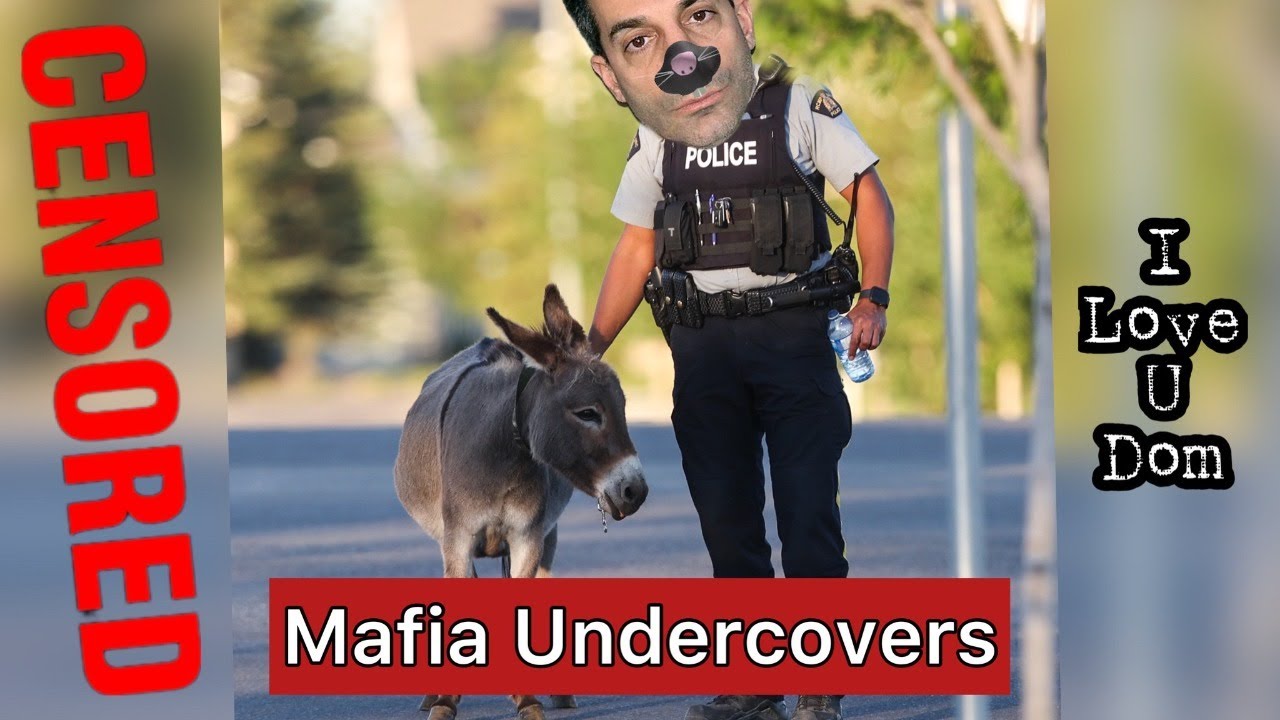 Mafia Undercovers Donkey Dom & Baronie The Phony - YouTube