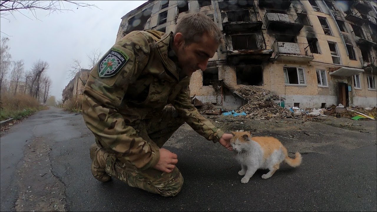 Brandon Mitchell: Canadian risking life to save Ukrainians | @ukraine ...