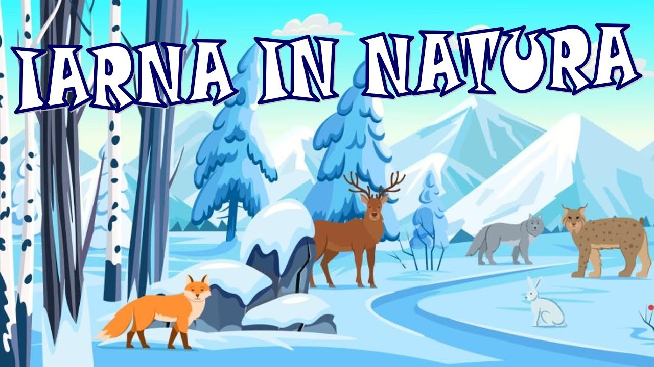 Iarna în natură | Ce se întâmplă cu plantele, animalele, păsările și ...