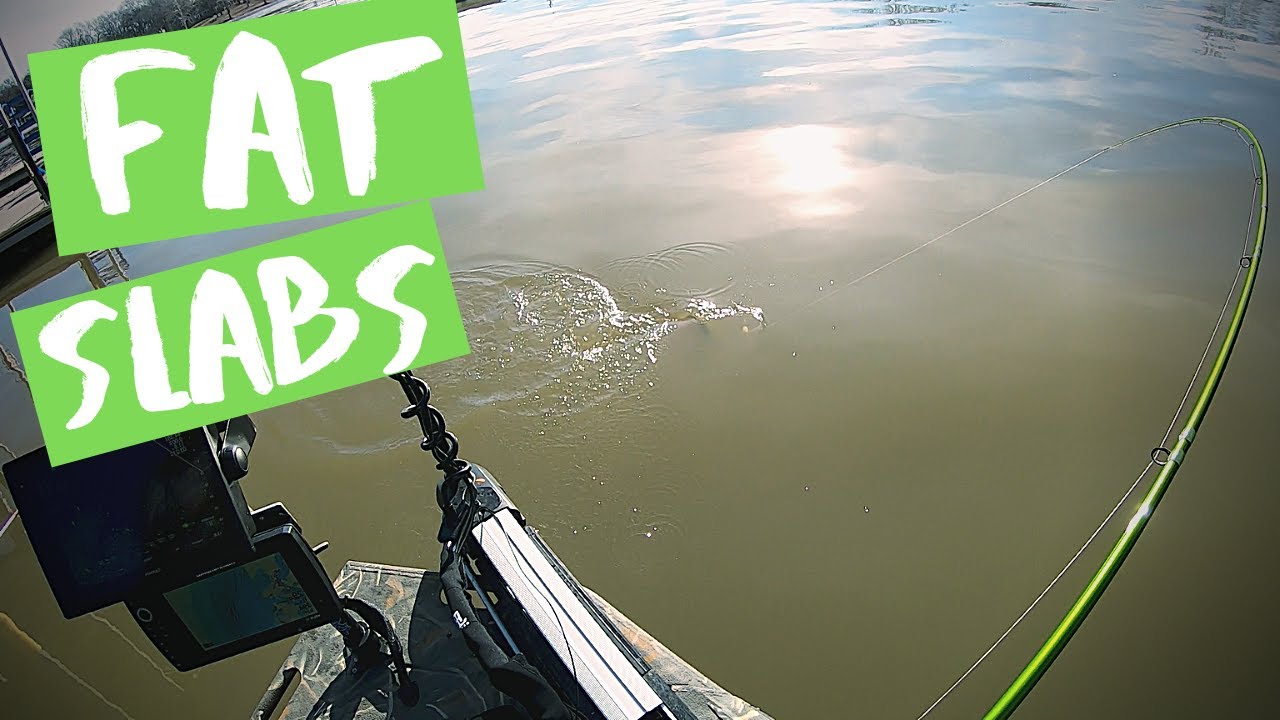 How to Catch FAT Slabs with Garmin LiveScope - Tips from Fat Slabs ...