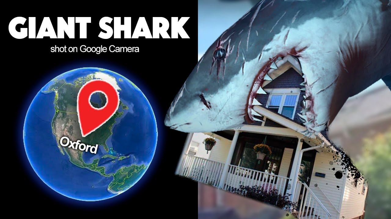 What i Found? SHARK ATTACK🤯 on Google Earth and Google Maps - YouTube