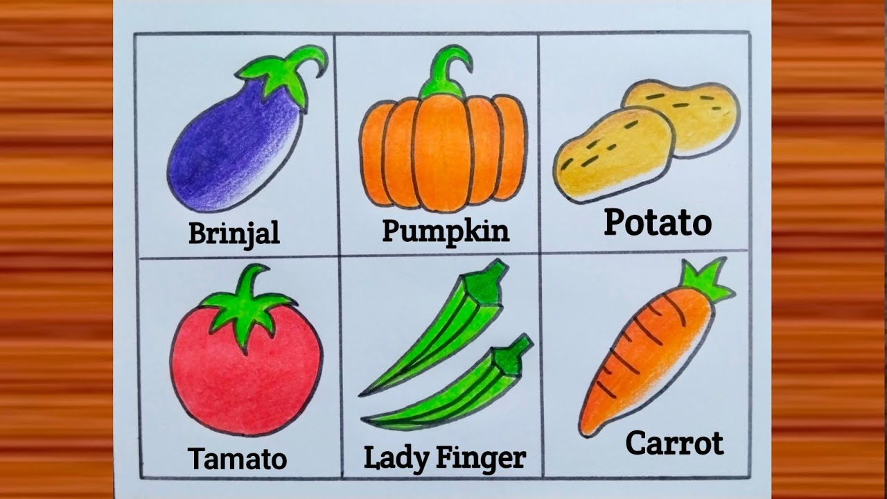 6 Different Types Of Vegetables Drawing / How To Draw Different ...