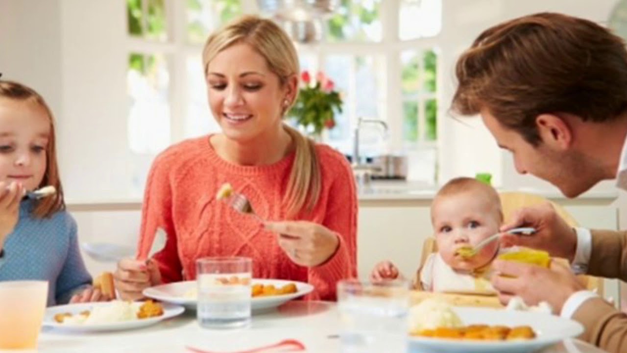 Alimentación perseptiva - YouTube