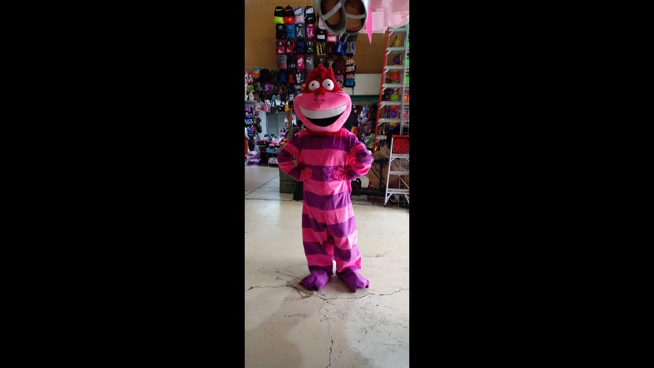 Botarga Gato Alicia - YouTube