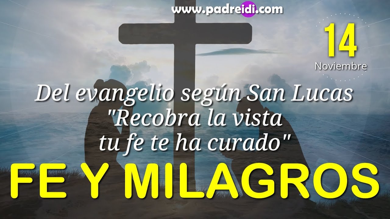 Evangelio 14 Noviembre, "Fe y Milagros", Recobra la vista, tu fe te ha ...