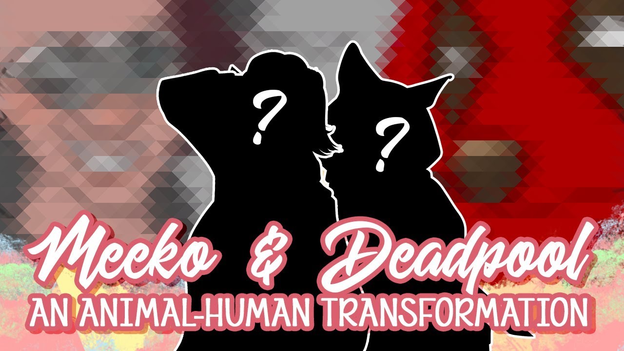 Meeko & Deadpool | WHAT IF THEY WERE... | An Animal-Human ...