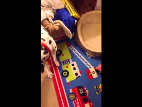 Matches are tools, not toys - YouTube