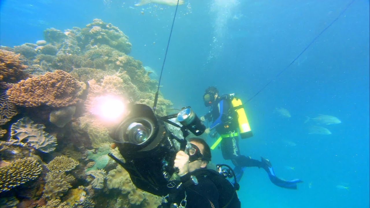 Google Ocean View Maps - YouTube